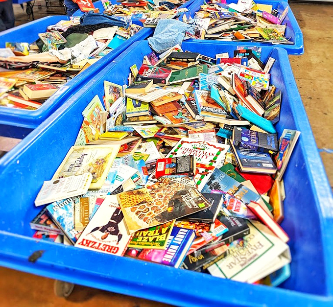 Literary gold mines waiting to be discovered. From dog-eared paperbacks to forgotten first editions, these pages hold adventures that cost less than a coffee.