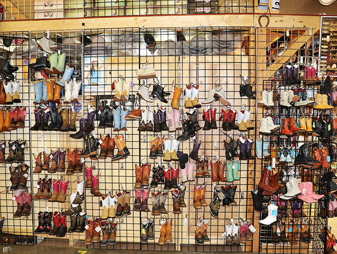 Cowboy boots of every color line the walls like a leather rainbow&mdash;each pair waiting for the right feet to continue their story.