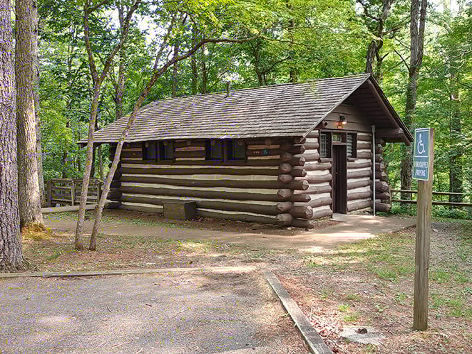 Log cabin dreams come true: where rustic charm meets modern comfort, and pine-scented air is complimentary with every stay.
