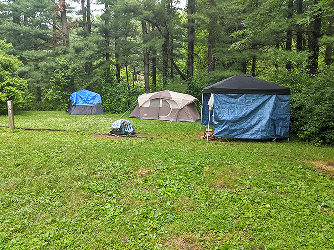 Camping beneath white pines gives new meaning to "room with a view." These tent sites offer five billion stars and no resort fees.