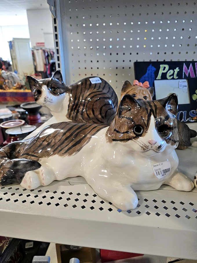 Ceramic cats with attitudes that say, "Yes, we're secondhand, but we've still got all nine lives intact." Perfect for the collector who embraces quirky with open arms.