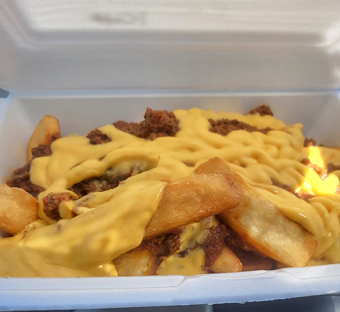 Chili cheese fries: where comfort food reaches its final, glorious form. The perfect marriage of crispy potatoes, savory chili, and molten cheese.