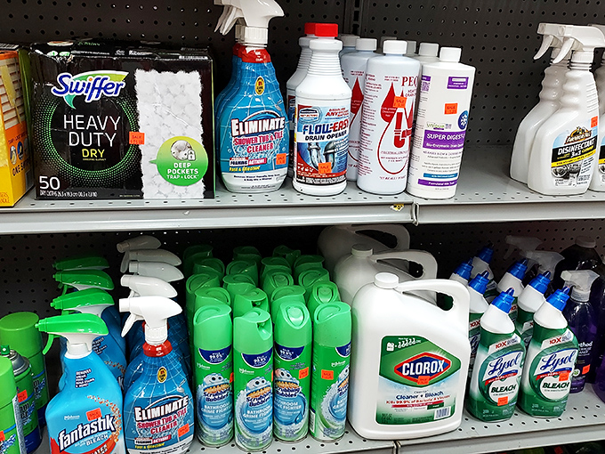 Cleaning supplies that make adulting slightly less painful. Spotless homes and spotless budgets can coexist after all.