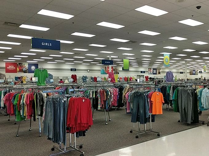 The clothing forest, where fashion trends of decades past hang in suspended animation, waiting for their inevitable comeback moment.