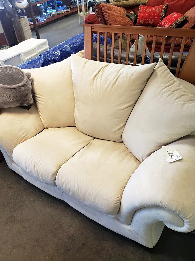 This couch has seen things&mdash;good things, like Sunday afternoon naps and marathon viewing sessions of shows that make you cry.