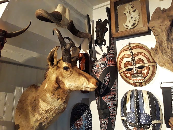 This magnificent taxidermied deer head shares wall space with tribal masks – a cultural conversation piece that spans continents and centuries. Photo