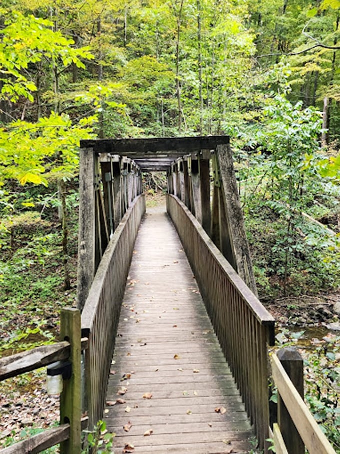 This wooden footbridge doesn't just connect trails&mdash;it invites you into a verdant theater where nature stages its most intimate performances.