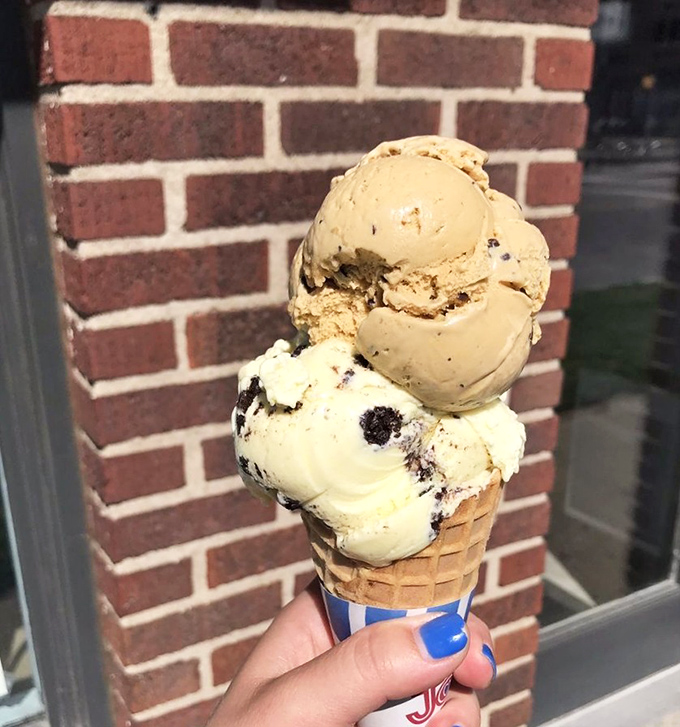 A double-decker dream team. The bottom scoop looks like cookies and cream's sophisticated cousin who studied abroad.