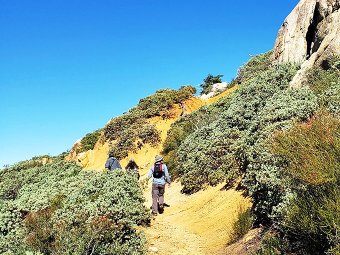 Hiking trails around Julian offer the perfect excuse to earn your pie calories. Nature's StairMaster with panoramic rewards.