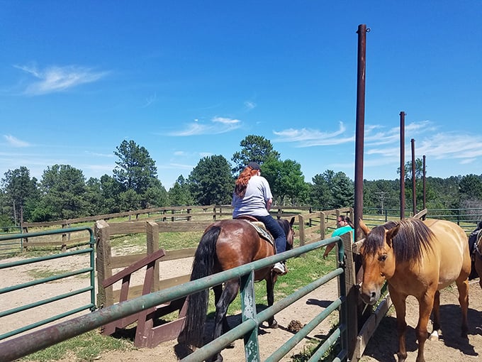 Main Street Chadron stretches before you like a living museum of Americana. Park anywhere&mdash;seriously, there's plenty of space&mdash;and start exploring. 