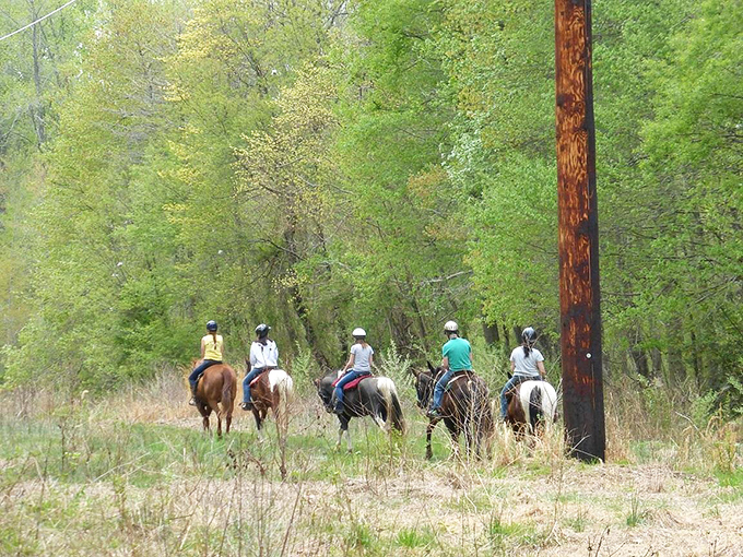 Giddyup and unplug! These equestrian trails offer a pace of travel that lets you actually see the forest, not just zip through it.