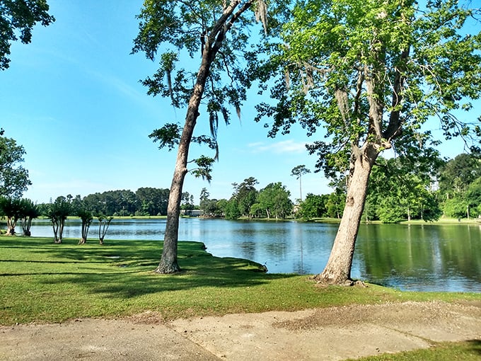 Cherokee Lake Park delivers the kind of tranquility that Instagram influencers pretend to enjoy but locals actually do. The fishing's not bad either.