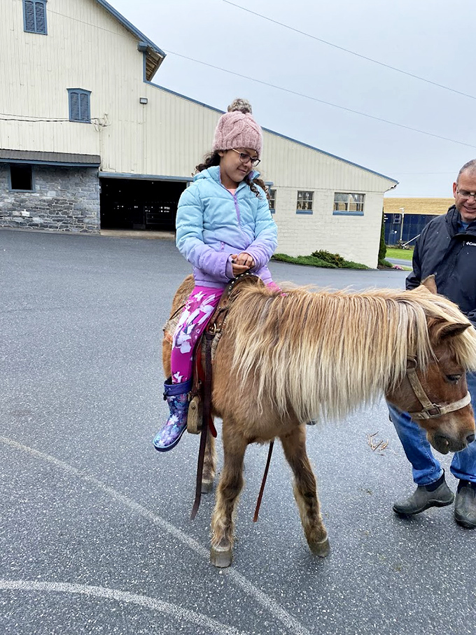 Not just any pony ride—this is where city kids discover their inner cowgirl and parents capture the kind of childhood moment that belongs in a frame.