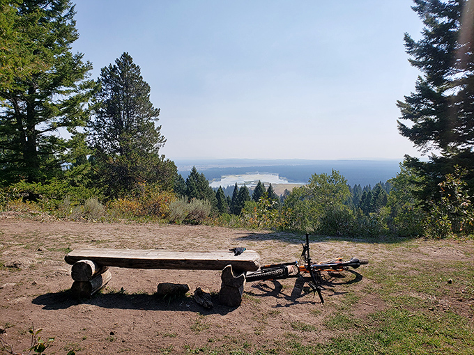 Find a bench with a view like this and suddenly life's problems shrink faster than your phone's battery in cold weather.