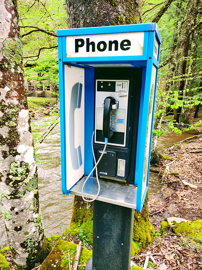 The ultimate digital detox &ndash; a payphone where "roaming" means something entirely different. When was the last time you saw one of these in the wild?