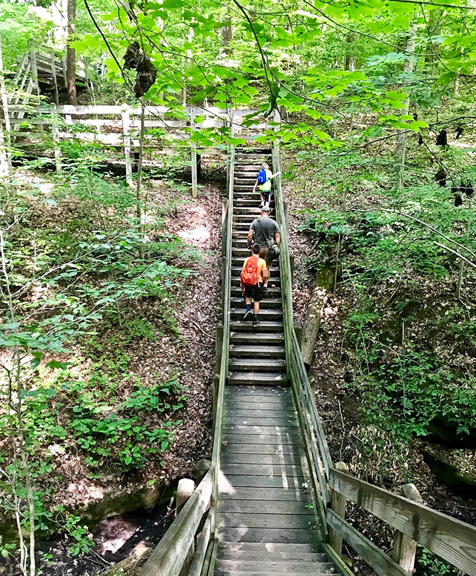 Those stairs might look intimidating, but the breathtaking canyon views waiting at the bottom make your burning thighs worth every complaint.