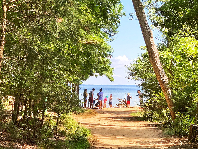 The moment when the forest parts to reveal the prize&mdash;like the curtain rising on nature's most spectacular stage show.
