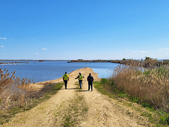 Three explorers venture down the path less traveled, flanked by waving grasses that seem to applaud their excellent choice of destination.