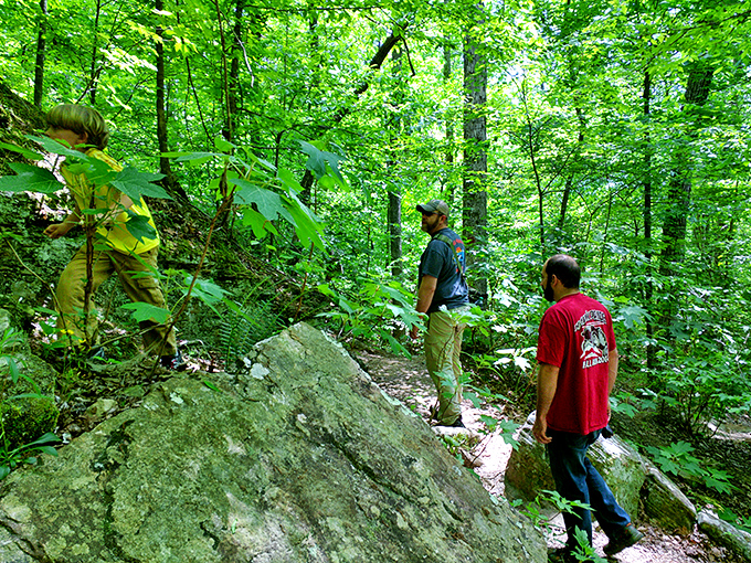 The fishing pier stretches toward possibility. Tishomingo's pristine waters promise peaceful contemplation, even if the fish aren't feeling particularly cooperative. 