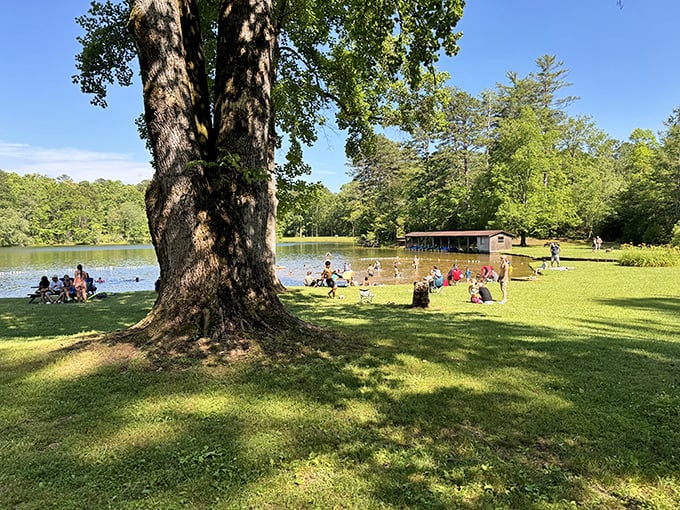 Summer's unofficial headquarters: where kids build sandcastles while parents pretend they don't miss their air conditioning quite as much as they do.