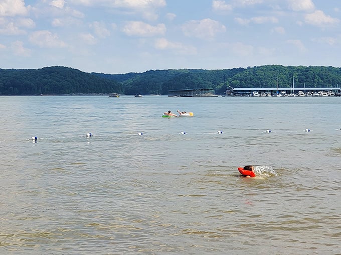 Swimming beyond the buoys—where adventurous souls discover that Lake Monroe is more than just a pretty shoreline.