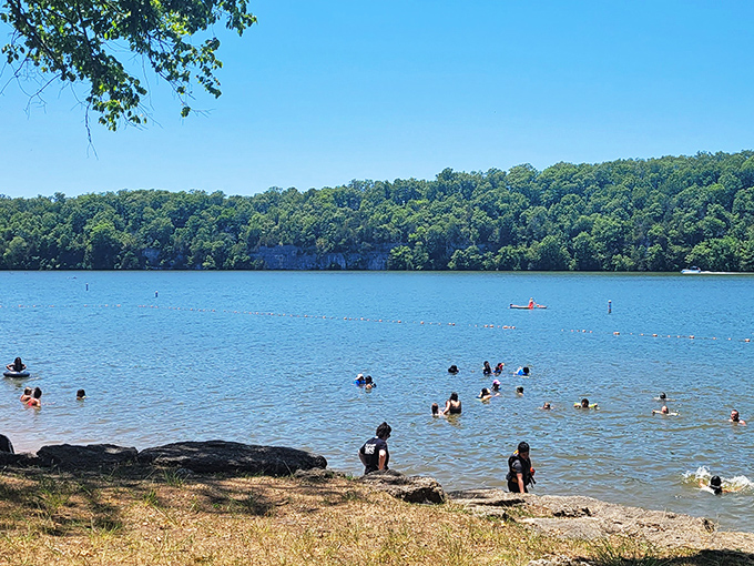 The universal language of summer joy&mdash;splashing, swimming, and proving that simple pleasures still create the most lasting memories.