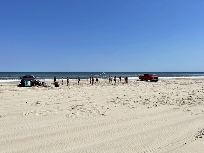 Beach volleyball, Carova style—where the spectators are often wild horses and the scoreboard is written in the sand.