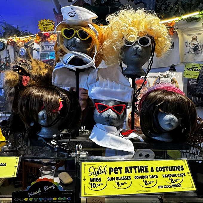 Who knew your pet needed sunglasses and a sailor hat? The Peculiarium's pet costume display answers questions you never thought to ask.