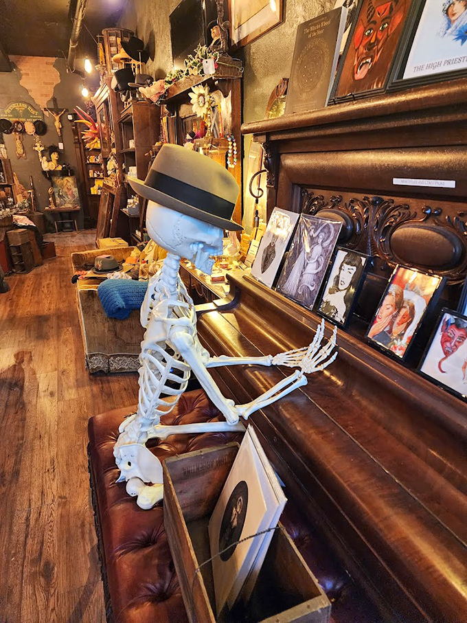 This skeletal pianist, complete with jaunty hat, seems poised to play a tune from beyond the grave while surrounded by vintage photographs and curiosities.