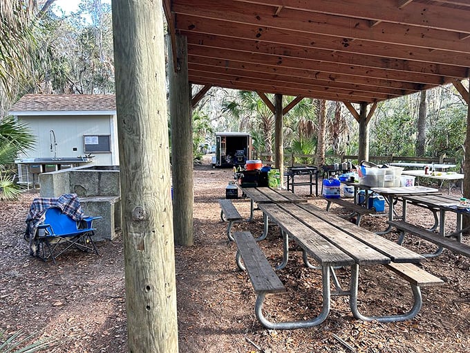 Rustic picnic tables under wooden shelters&mdash;where sandwiches somehow taste better and conversations flow as easily as nearby South Creek.