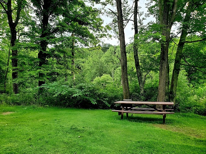 A picnic table that offers better views than most five-star restaurants. The service is self-explanatory, but the ambiance is unbeatable. 