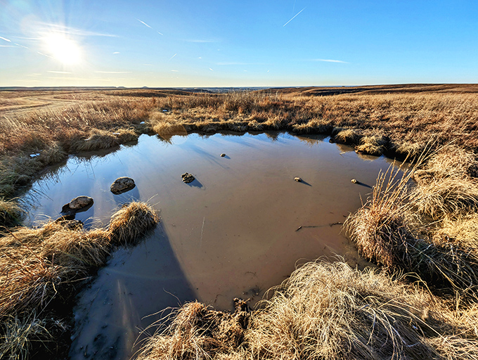 Nature's mirror catches the sky for safekeeping. This prairie pothole reflects clouds with the precision of a master painter.