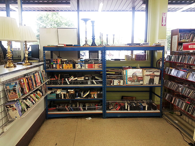 The media section: where forgotten bestsellers and overlooked classics sit alongside DVDs of movies you forgot you loved until spotting them here.