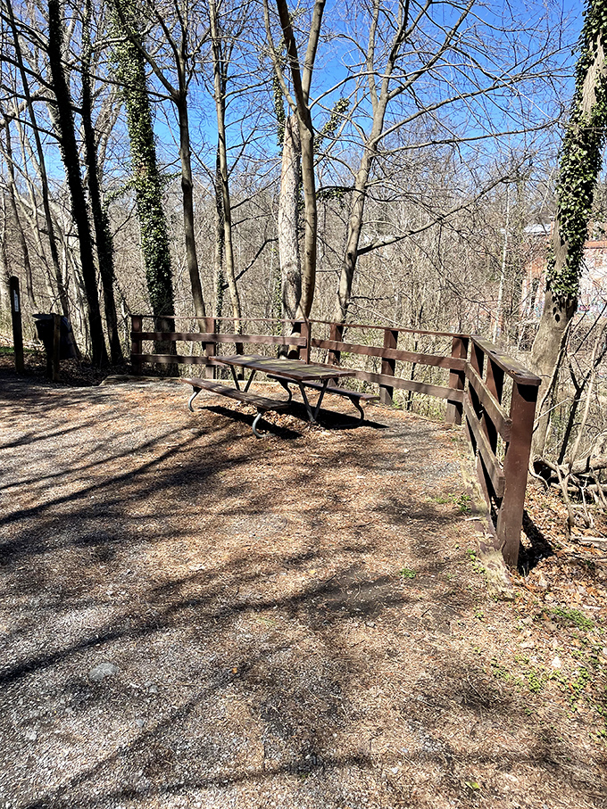 A bench with a view worth more than front-row tickets to any show. Nature's waiting room where the magazine selection is just rustling leaves.