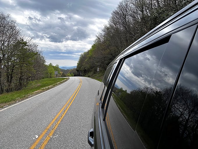 The journey becomes the destination when your window frames views like this. Each curve reveals another chapter in Georgia's mountain story.