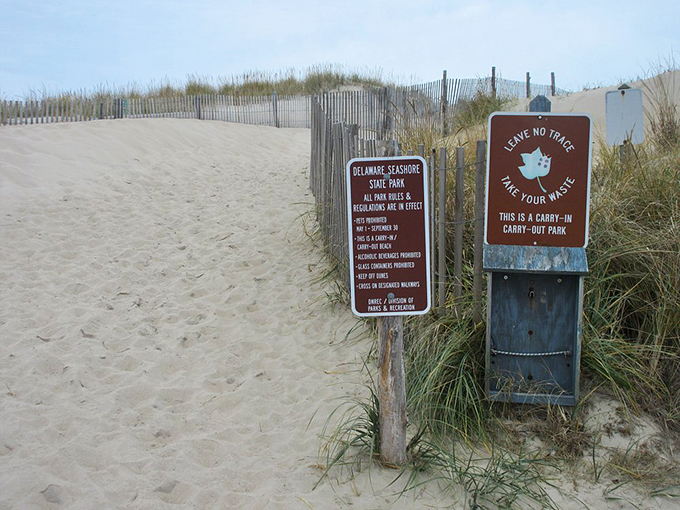 The park's gentle reminder that this slice of coastal perfection stays pristine because visitors treat it with the respect a natural treasure deserves.