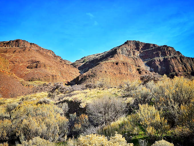 Nature's amphitheater unfolds in layers of ochre, amber and sienna. This sweeping vista reminds us why we venture beyond cell service. 