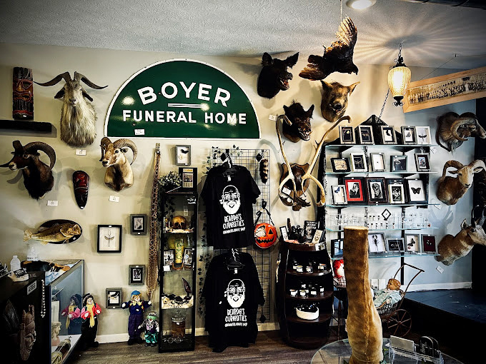 The iconic Boyer Funeral Home sign presides over a collection of taxidermy and merchandise, a nod to the thin veil between life's curiosities and mortality.