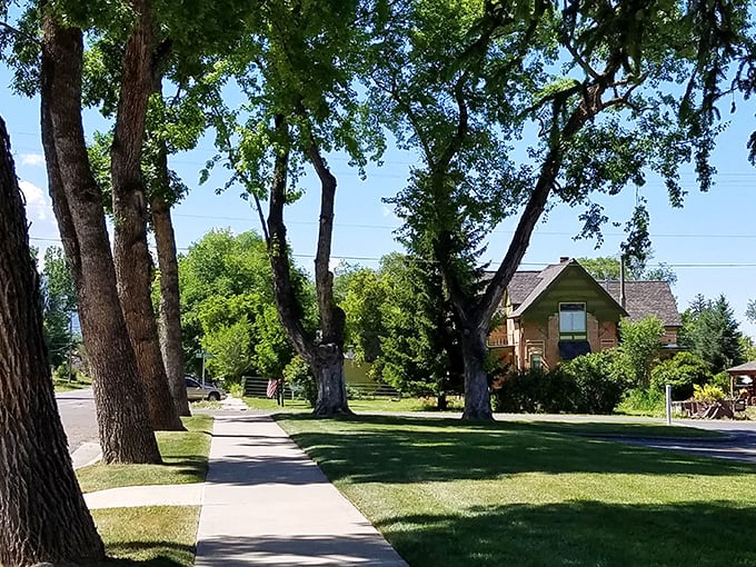 Tree-lined streets with dappled shade create nature's perfect canopy&mdash;the kind of walkway that makes you slow down just to appreciate the journey.