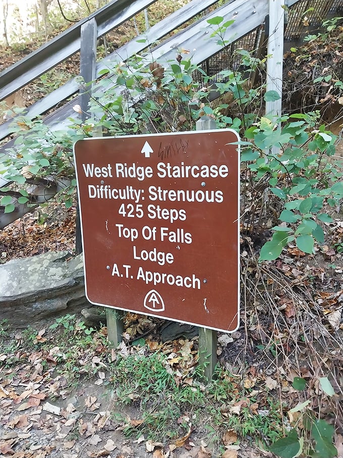 "Strenuous" is just ranger-speak for "your calves will remember this tomorrow." At least they warn you before your legs stage their rebellion.