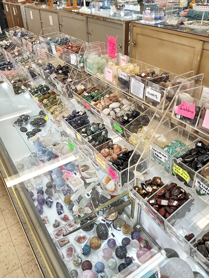 Wall-mounted mineral marvels showcase nature's artistic side, with each polished stone telling a geological story millions of years in the making.