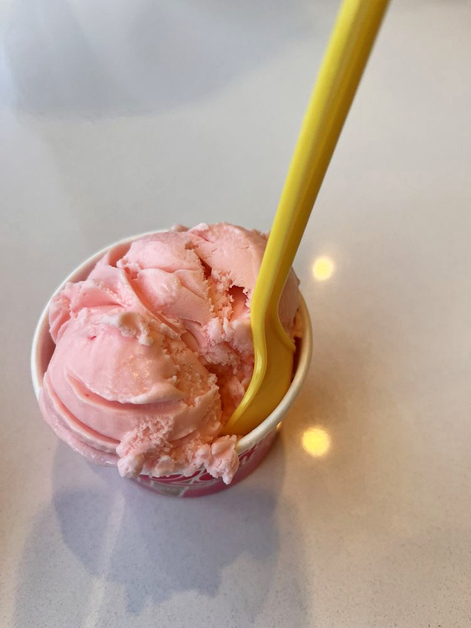 Strawberry ice cream so vibrantly pink it could moonlight as a paint swatch called "Summer Nostalgia" at your local hardware store.