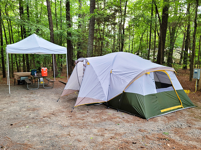 Glamping goals: a proper tent, canopy for unexpected showers, and just enough civilization to keep the wifi-withdrawal tremors at bay.