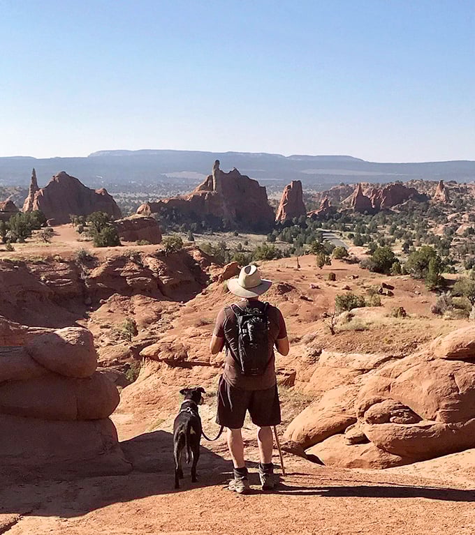 Man's best friend joins the adventure as they pause to soak in panoramic views that make smartphone cameras weep with inadequacy.