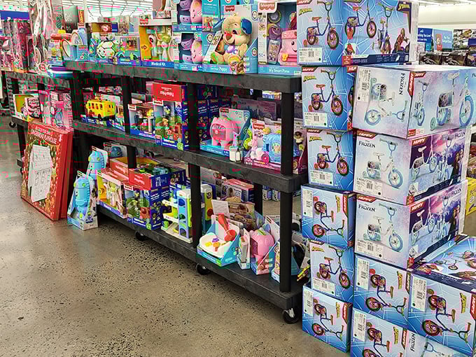 Toy paradise! Where childhood dreams meet parent-friendly prices, and no one has to choose between Frozen and Star Wars.