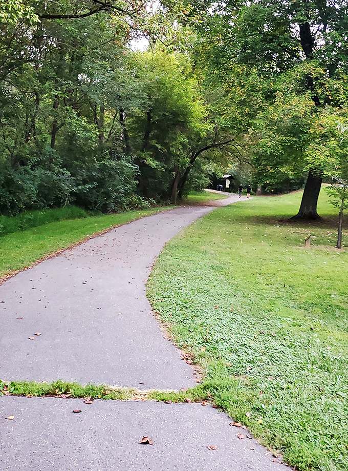 This winding trail through Patapsco Valley offers a peaceful counterpoint to Main Street's bustle&mdash;nature's own side street waiting to be explored.