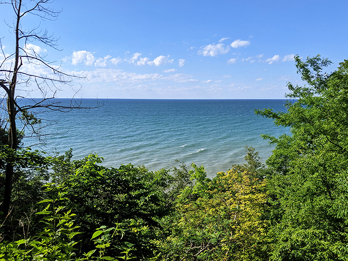 Autumn paints Erie Bluffs in a palette that would make Bob Ross weep with joy—happy little trees indeed.