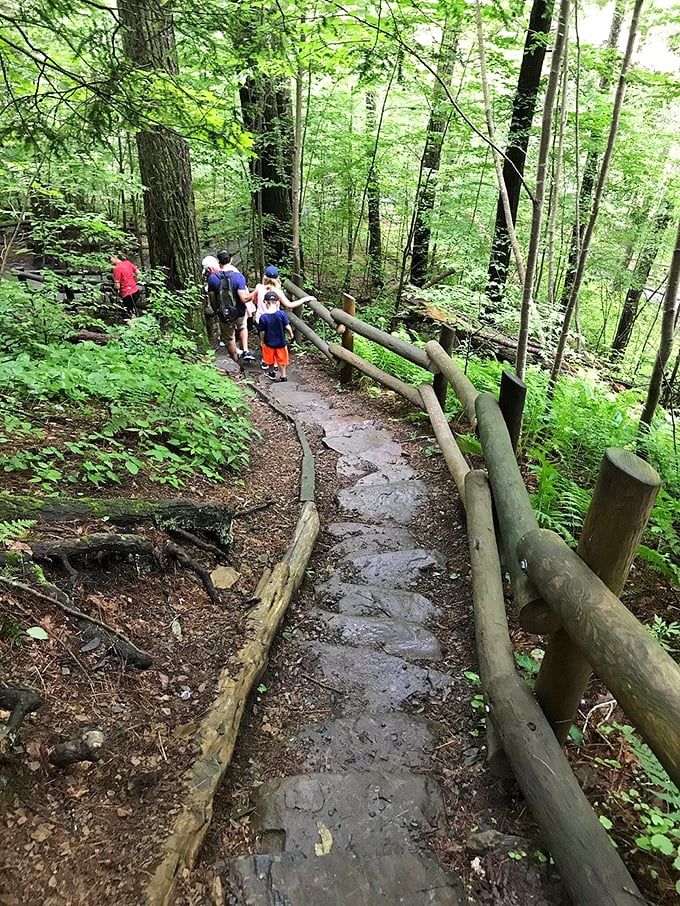 A visitor pauses, transfixed by nature's power. That moment when you realize your smartphone camera will never do justice to what your eyes are witnessing.