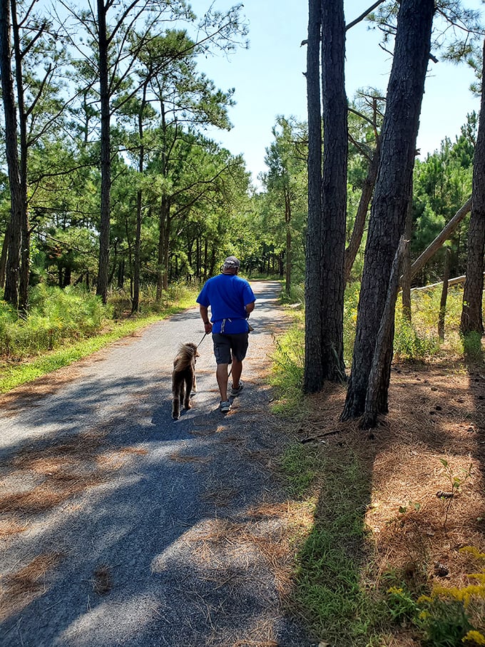 Man's best friend leads the way through dappled sunlight, demonstrating why the trail's pet-friendly policy makes tails wag and owners smile.