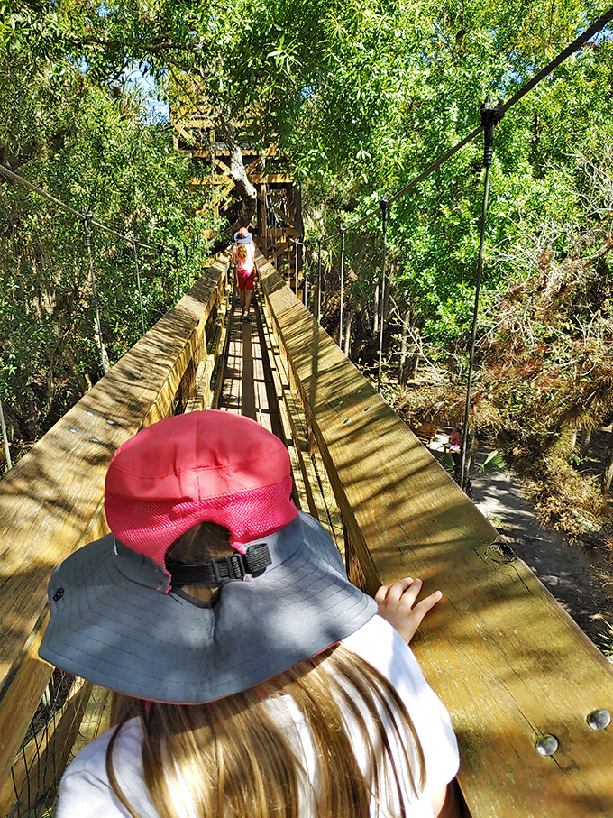 Walking the canopy trail feels like being in a treehouse designed by Mother Nature herself—minus the rickety ladder your dad built.